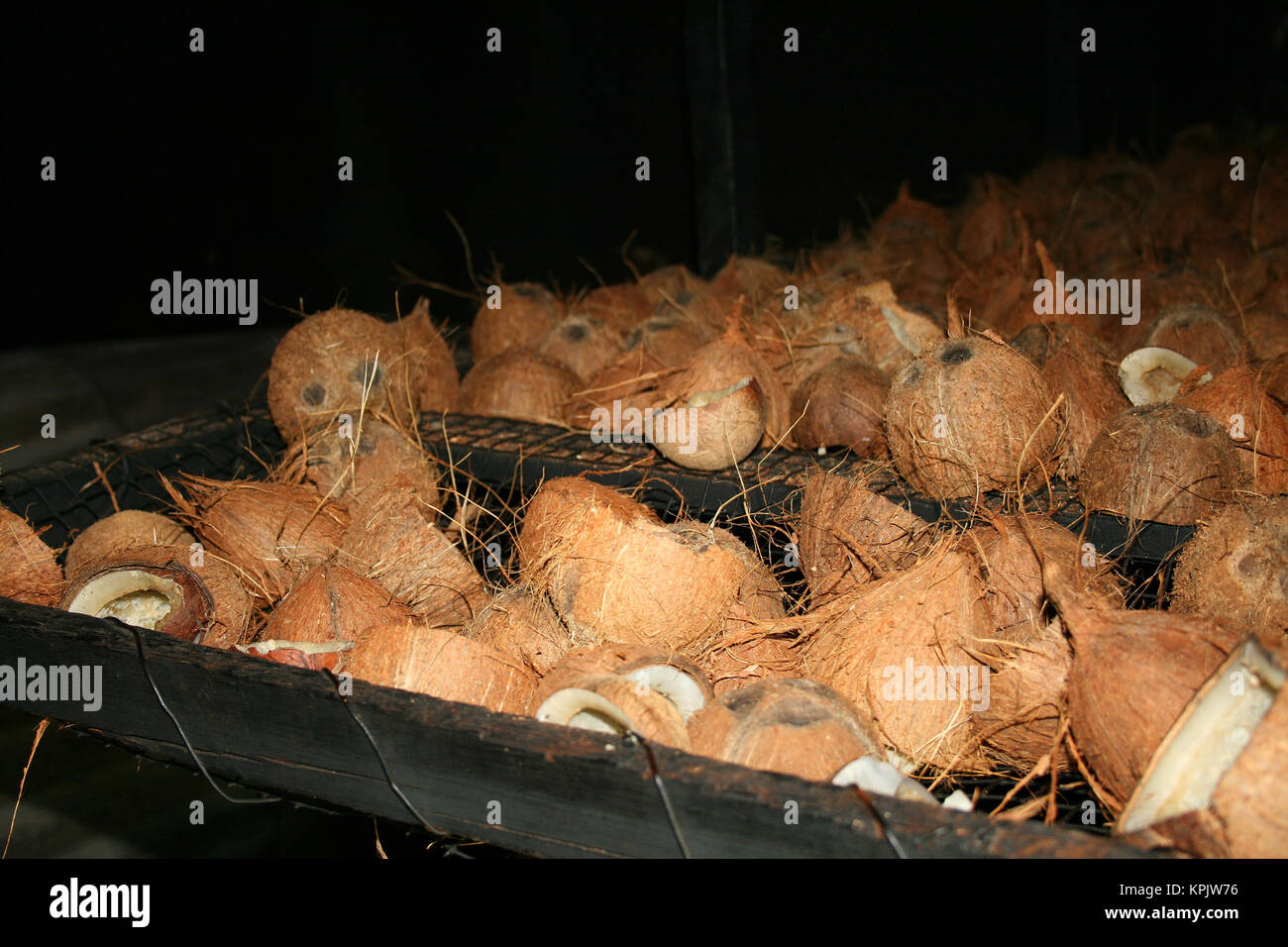 Piles of palm coconuts with fibres and husks being Processed, La Digue ...