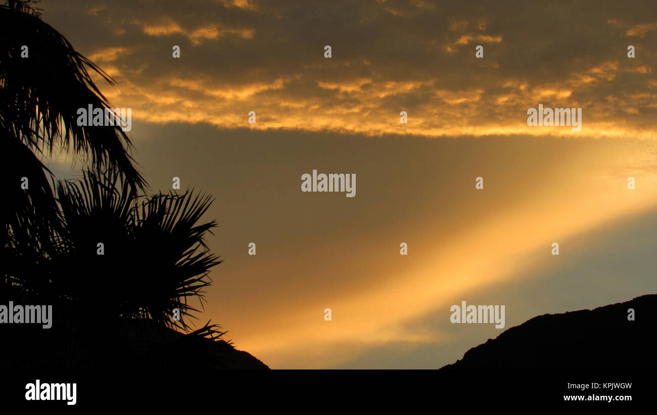 Palms with golden summer monsoon sunset clouds Stock Photo - Alamy