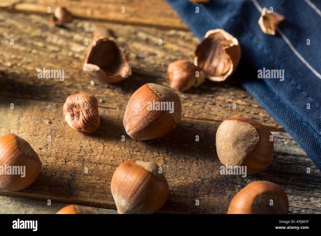 Hazel nut husk hi-res stock photography and images - Alamy