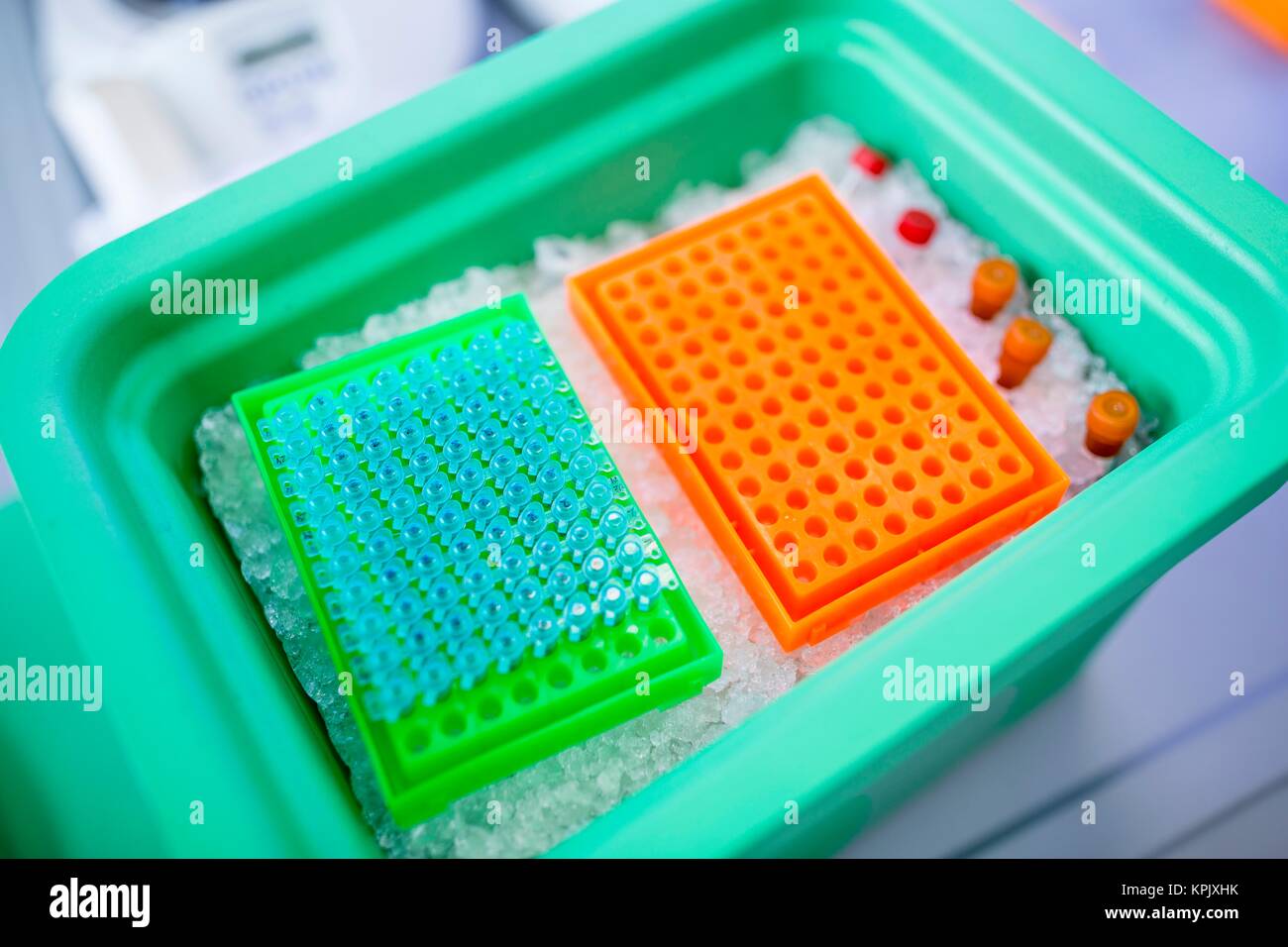 Multiwell trays and samples on ice Stock Photo - Alamy