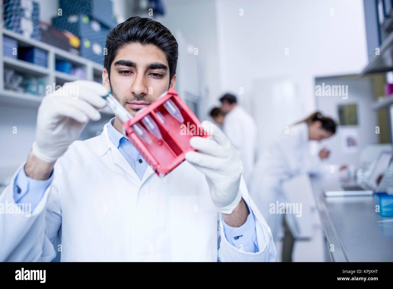 Male laboratory assistant holding test tube rack Stock Photo - Alamy