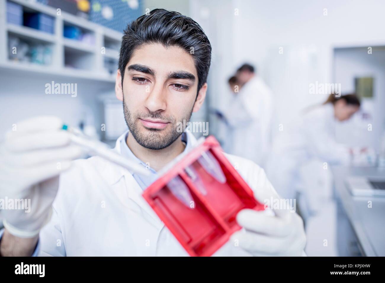 Male laboratory assistant holding test tube rack Stock Photo - Alamy