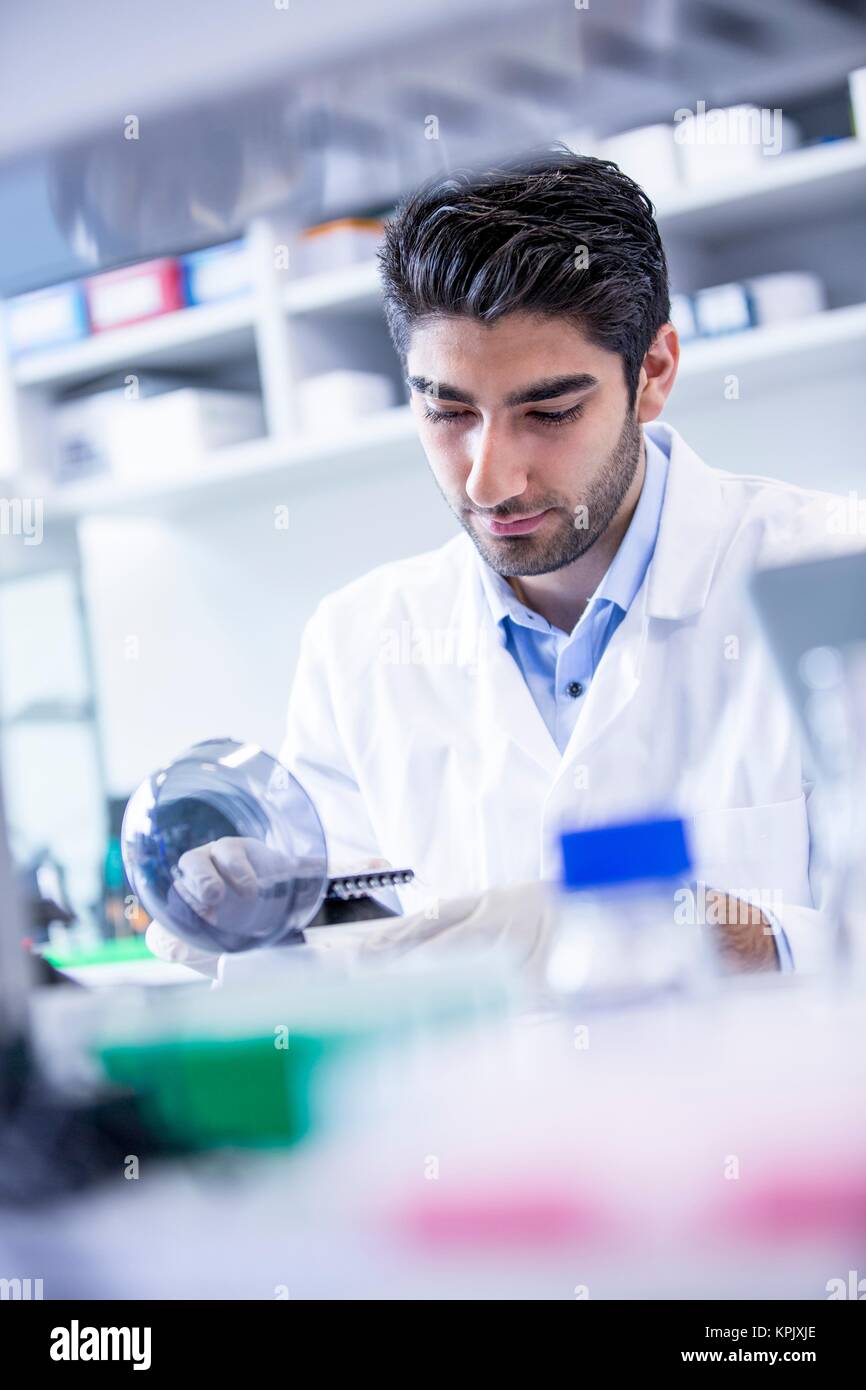 Male laboratory assistant using mini centrifuge Stock Photo - Alamy
