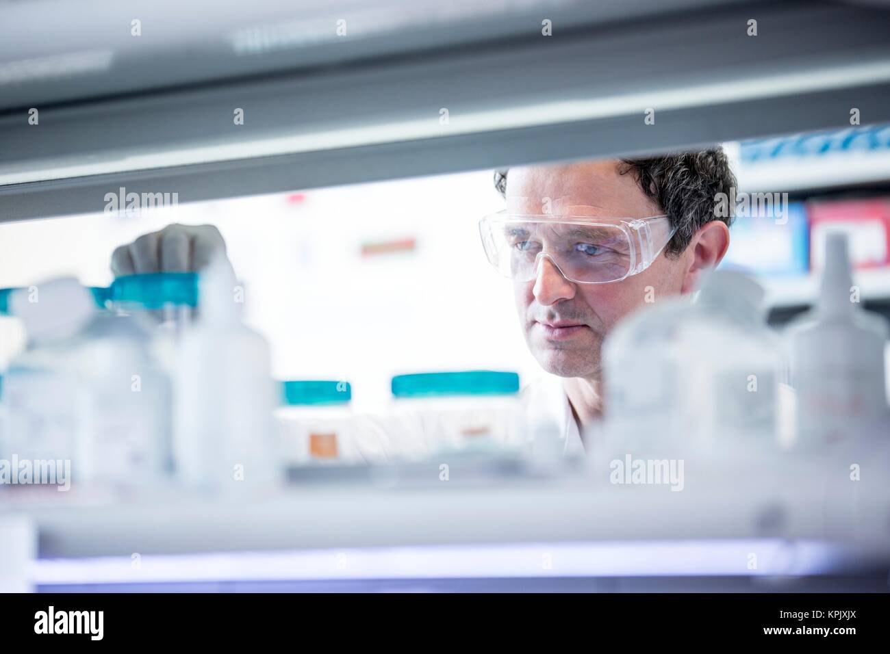 Male laboratory assistant wearing hi-res stock photography and images ...