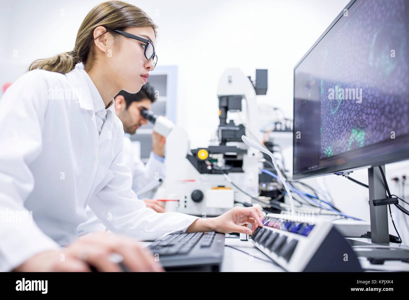 Female scientist using computer Stock Photo - Alamy