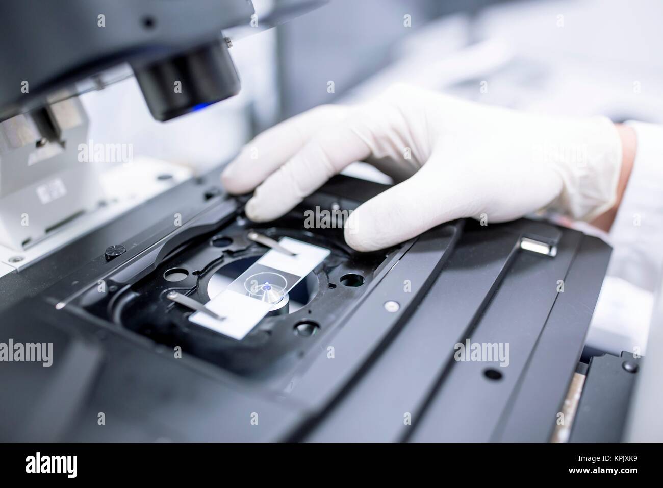 Hand adjusting microscope hi-res stock photography and images - Alamy