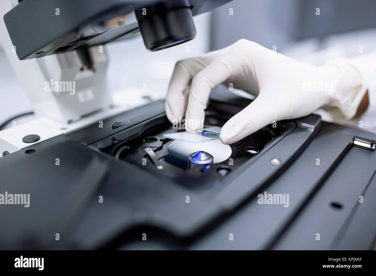 Scientist wearing latex glove adjusting microscope slide Stock Photo ...