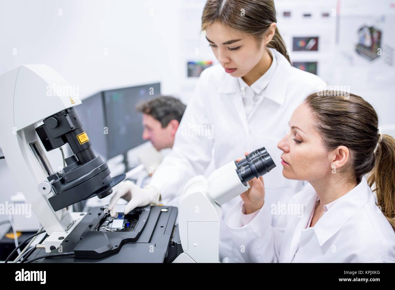 Female scientists working in laboratory Stock Photo - Alamy