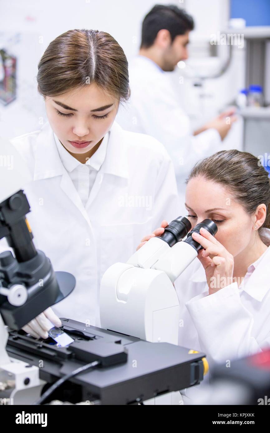 Female scientists working in laboratory Stock Photo - Alamy