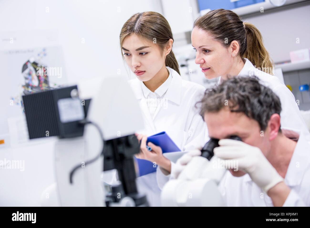 Scientists working in laboratory Stock Photo - Alamy