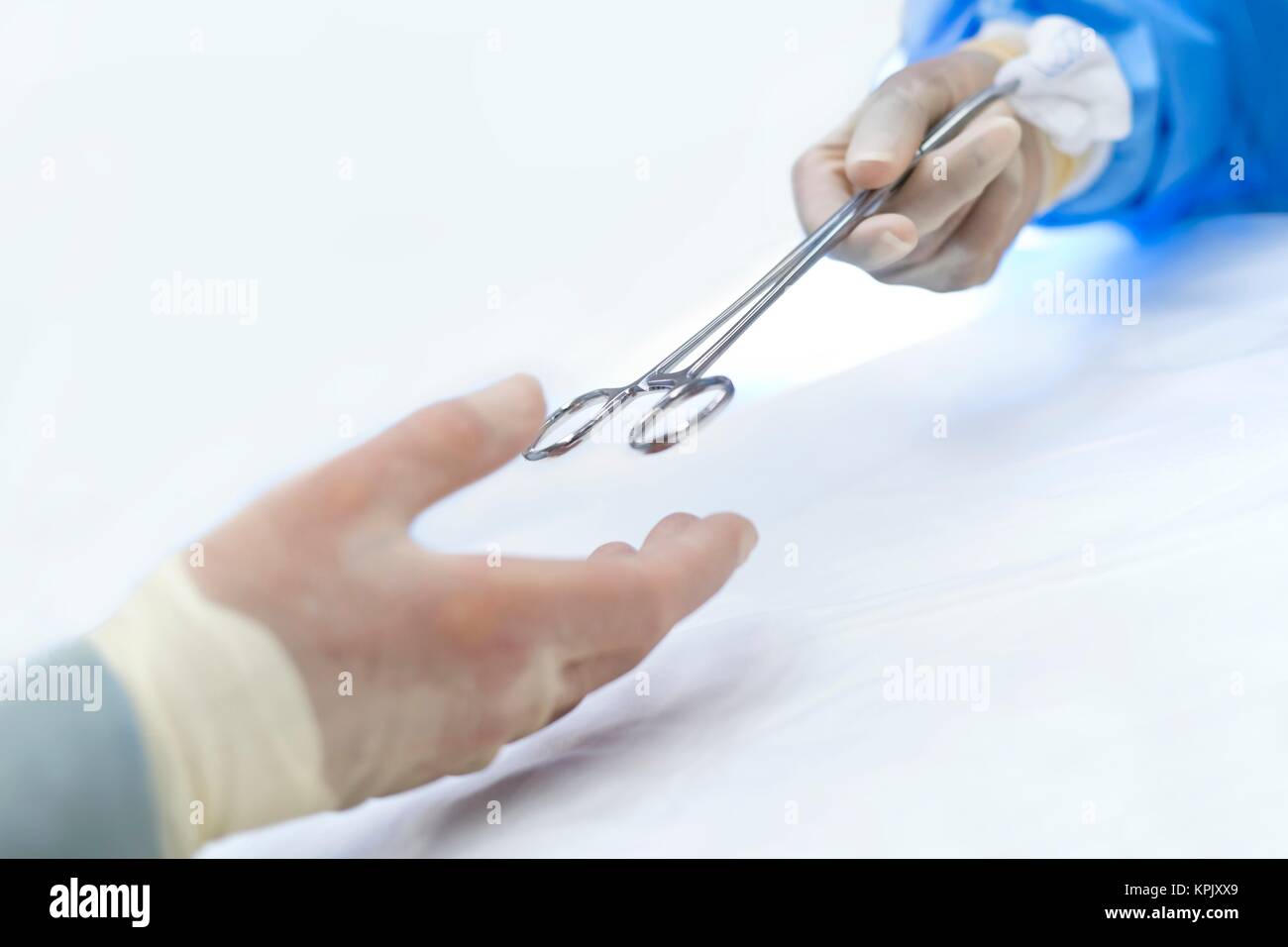 Nurse passing surgical scissors to surgeon during operation Stock Photo ...
