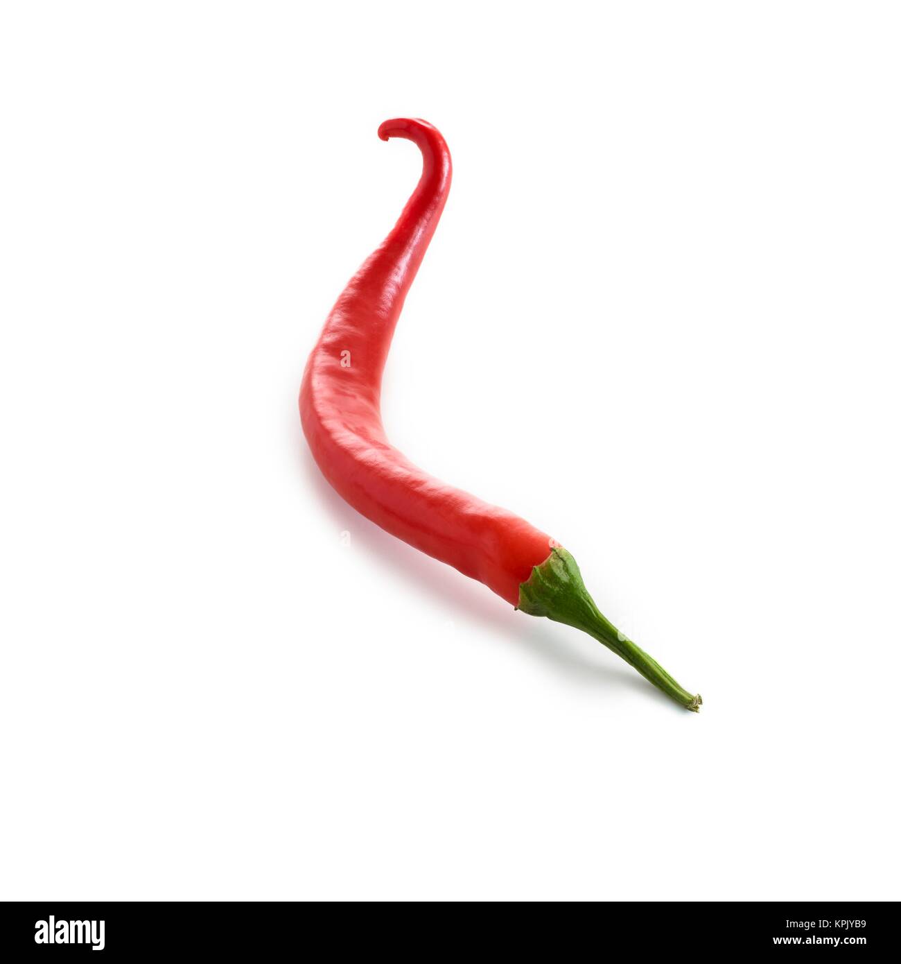 Fresh red chilli, studio shot Stock Photo - Alamy