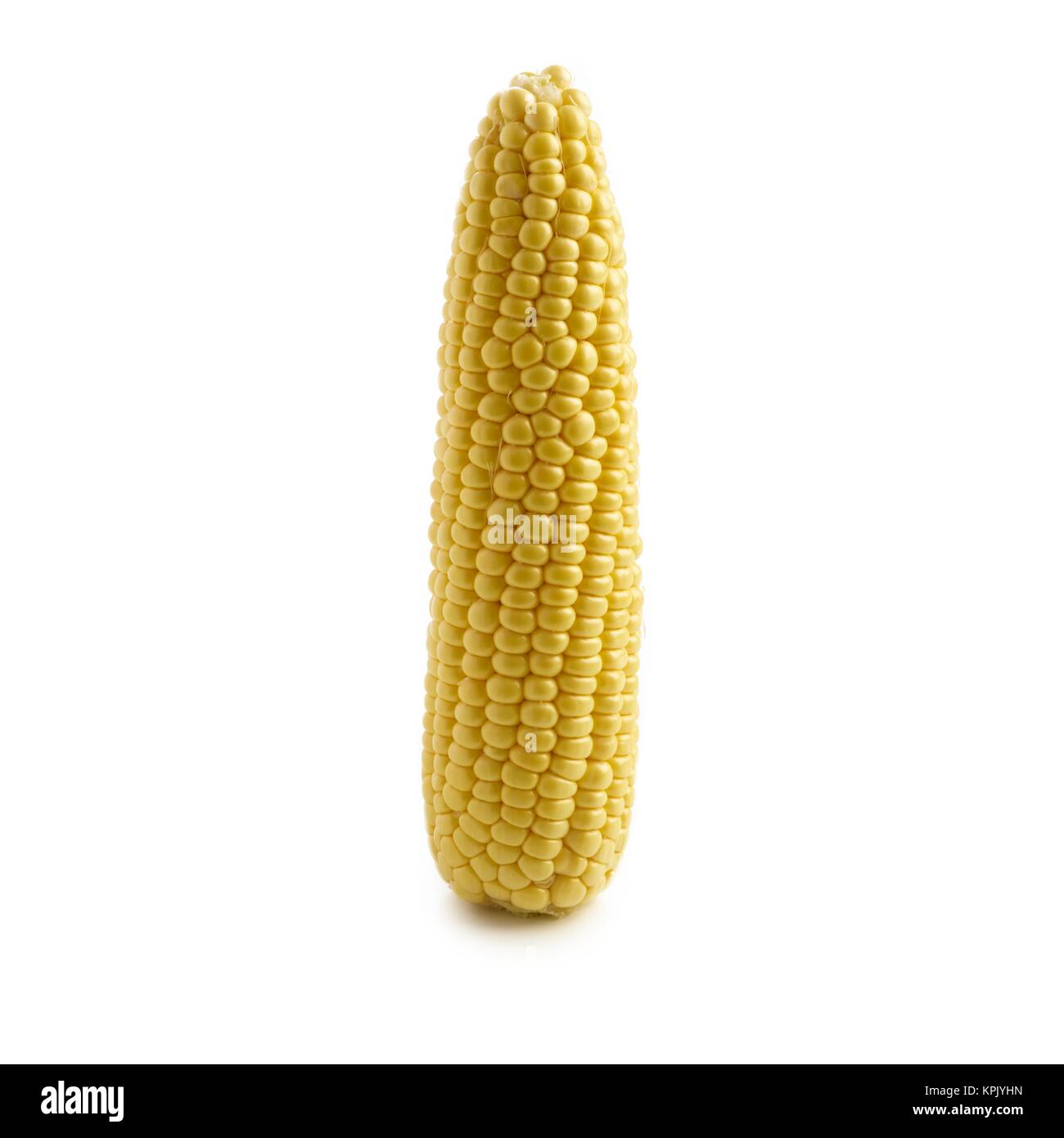 Sweetcorn against a white background Stock Photo - Alamy