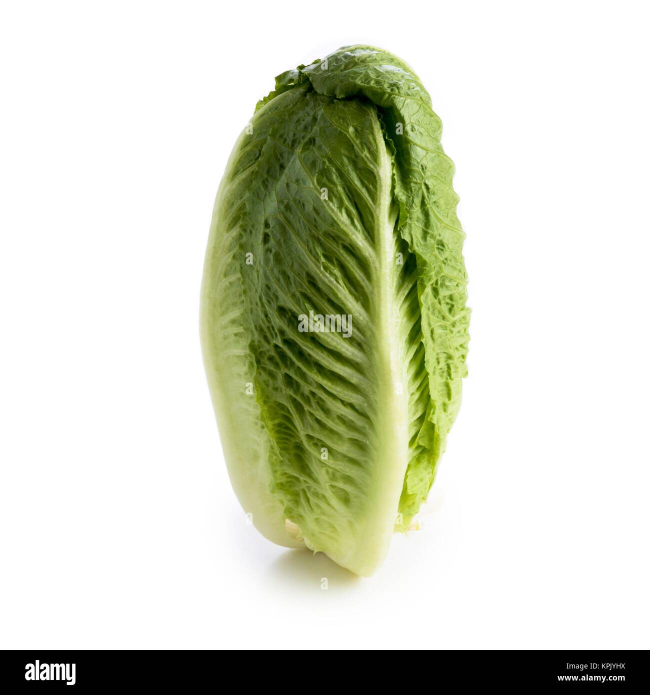 Cos lettuce against a white background Stock Photo - Alamy