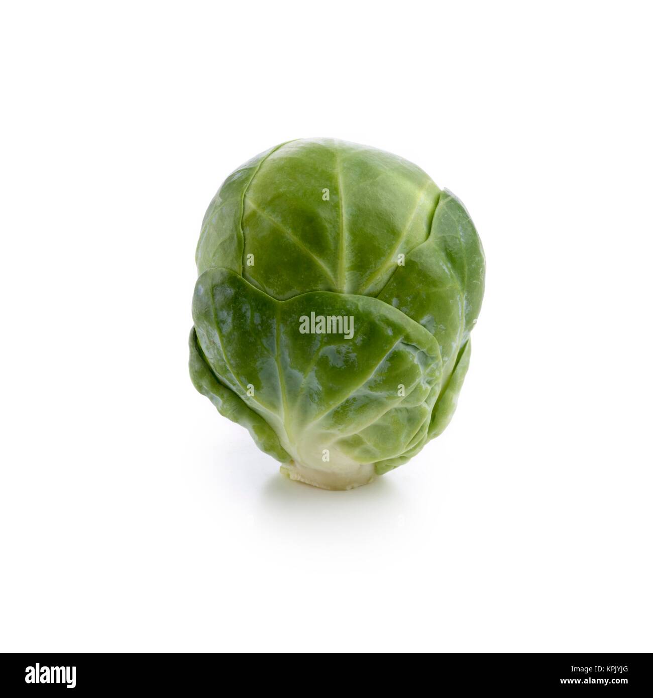 Brussels sprout against a white background Stock Photo - Alamy