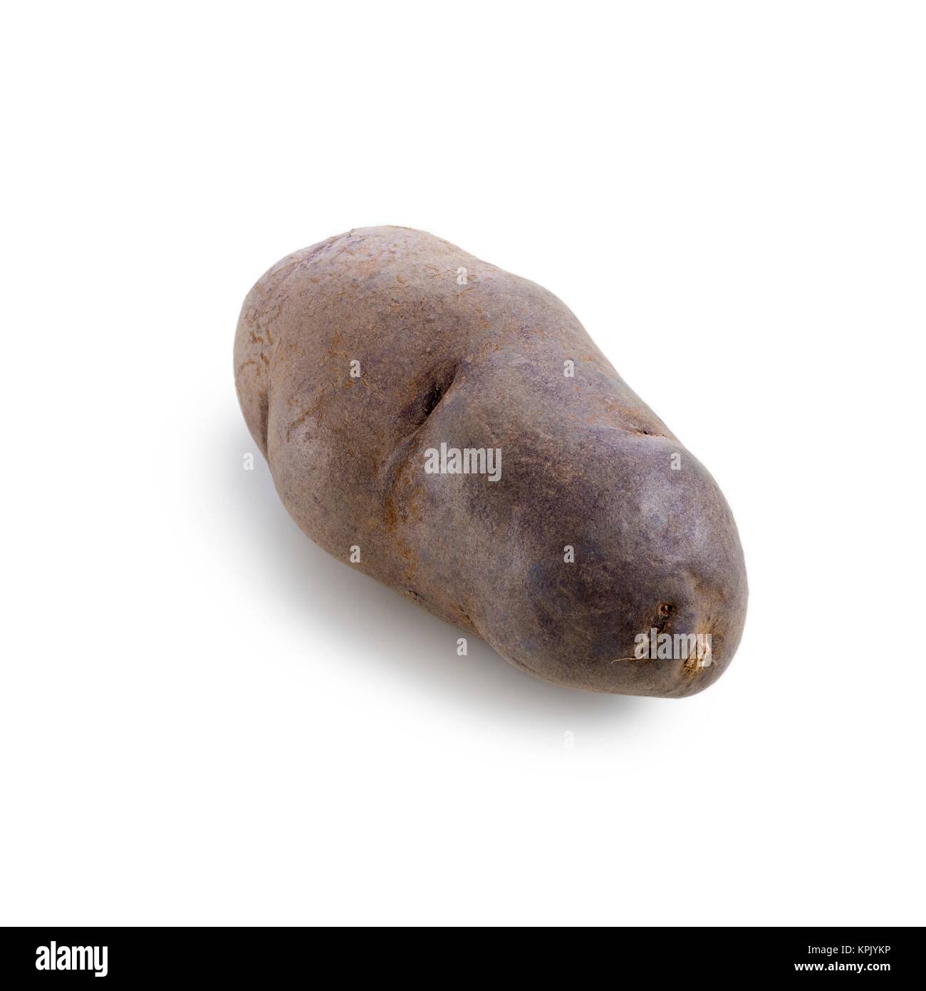 Blue potato against a white background Stock Photo - Alamy