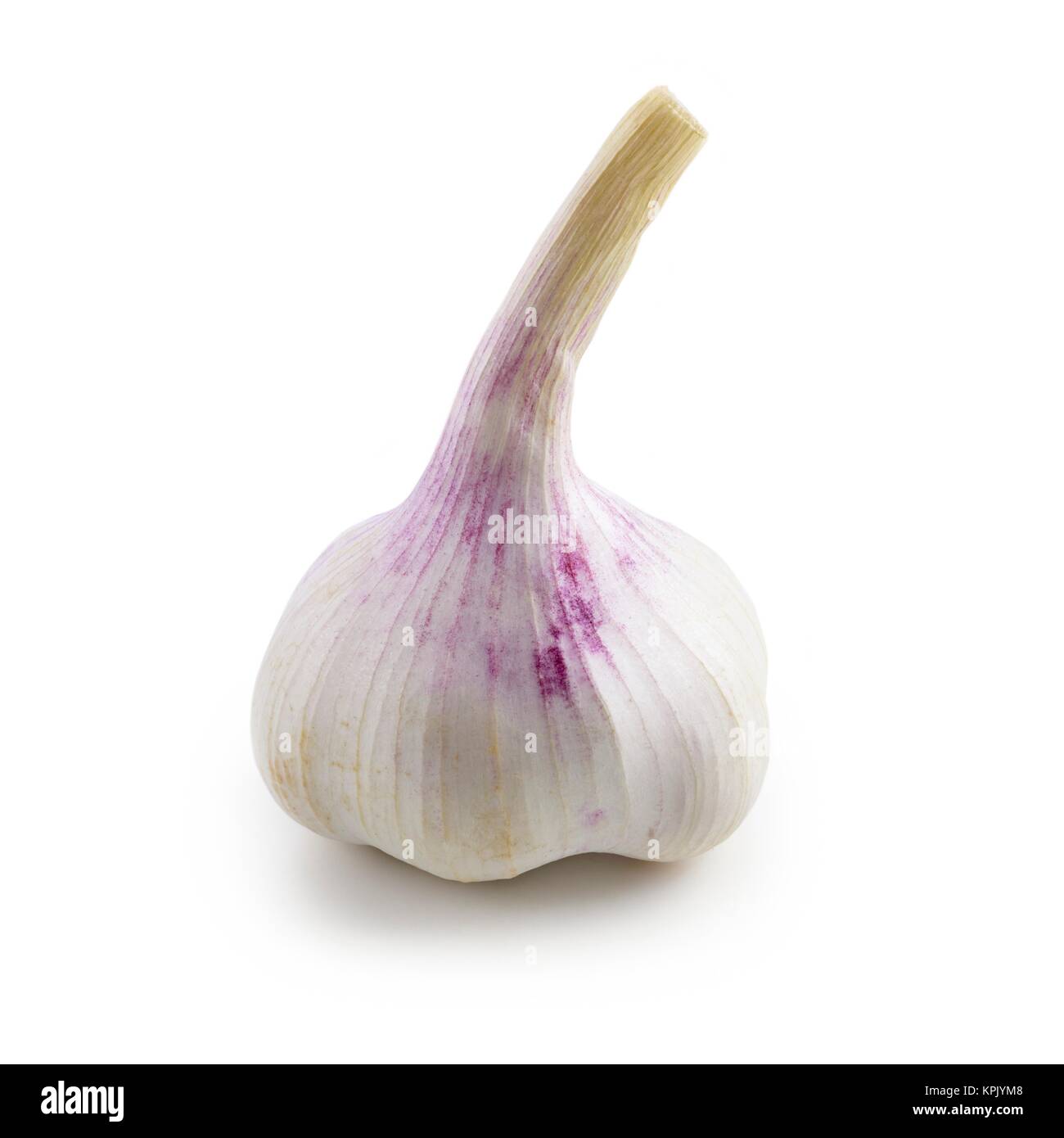 Bulb of garlic against a white background Stock Photo - Alamy