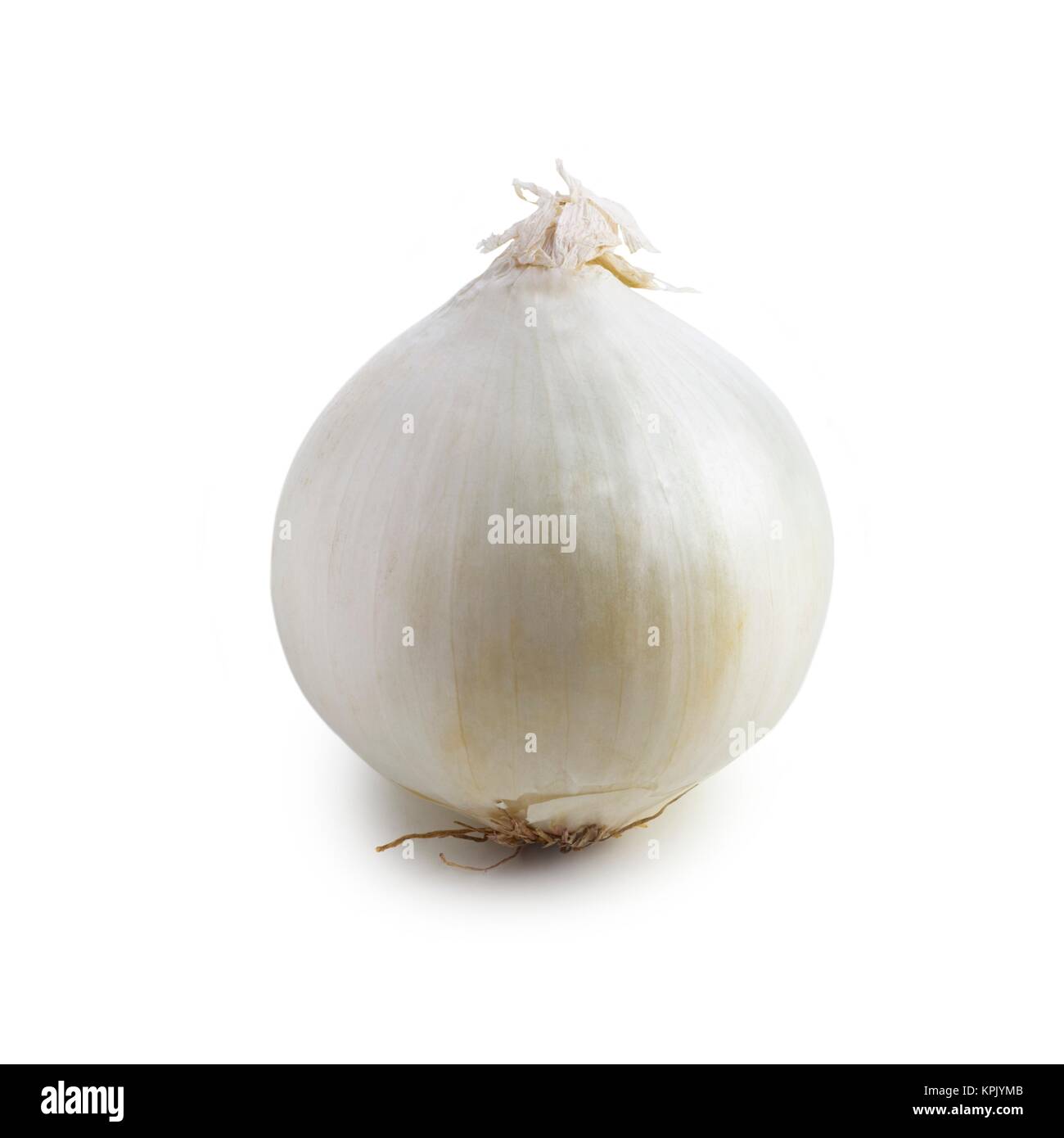 Onion against a white background Stock Photo - Alamy
