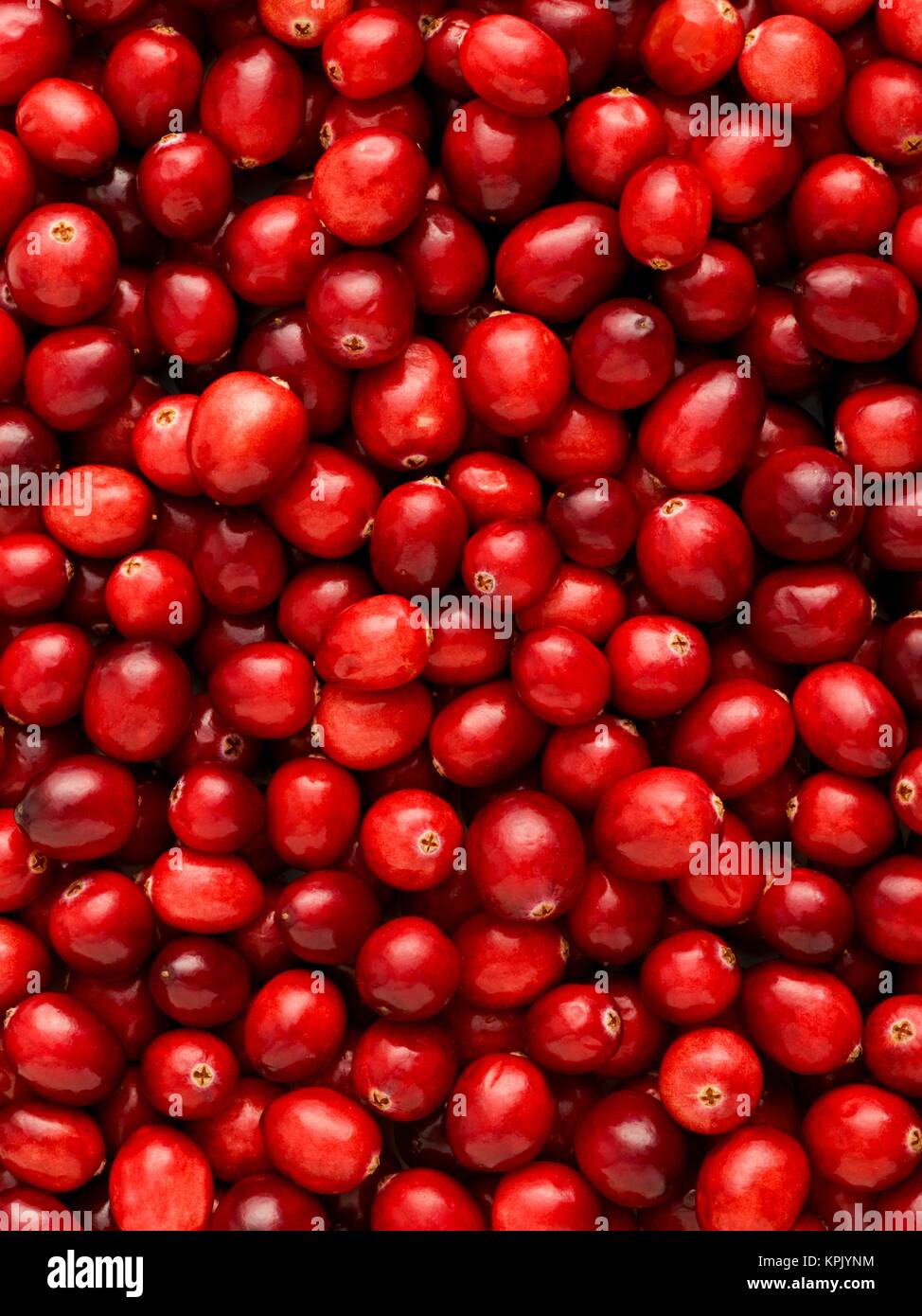 Cranberries, full frame Stock Photo - Alamy