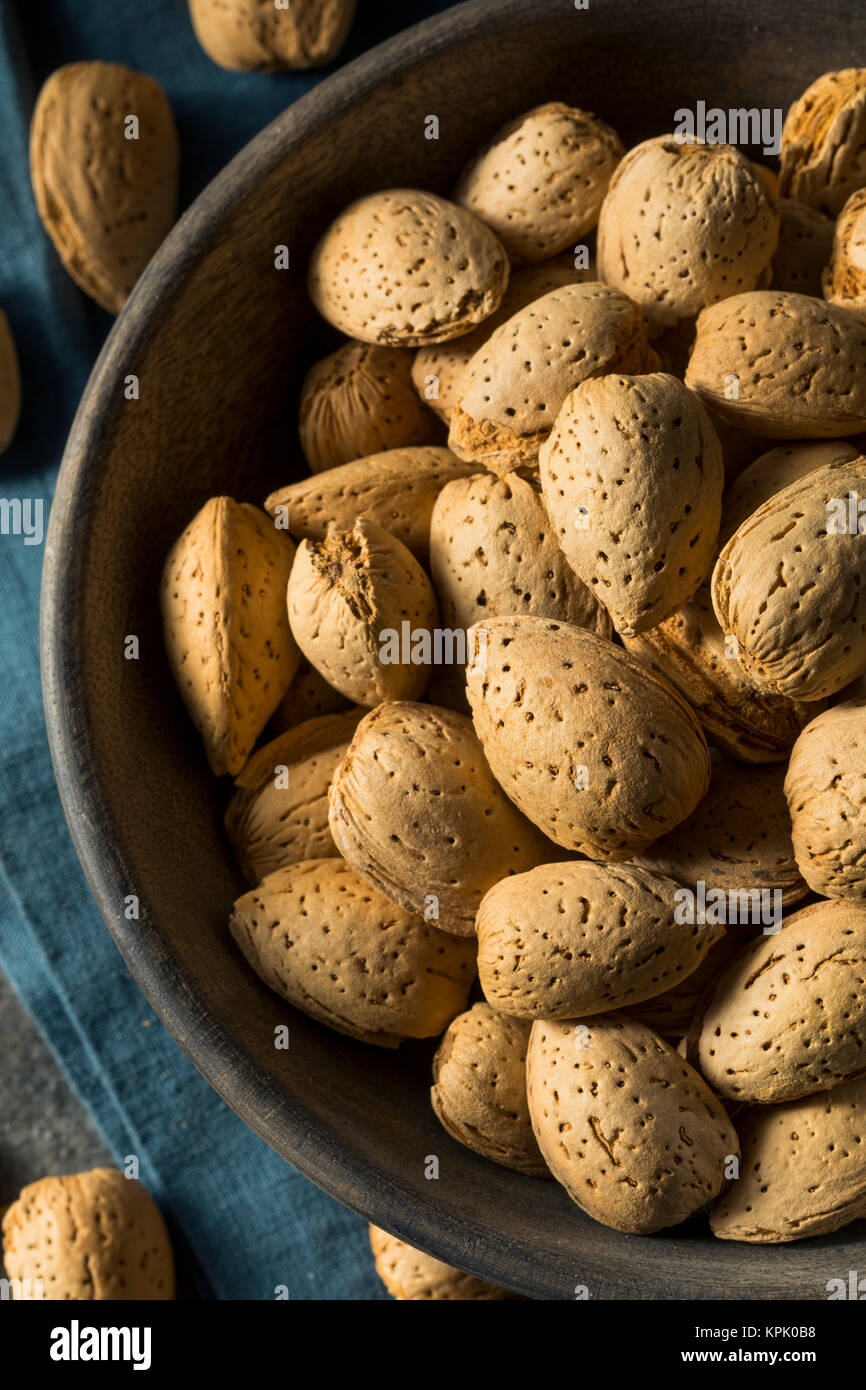 Raw Brown Organic Shelled Almonds Ready to Crack Stock Photo - Alamy