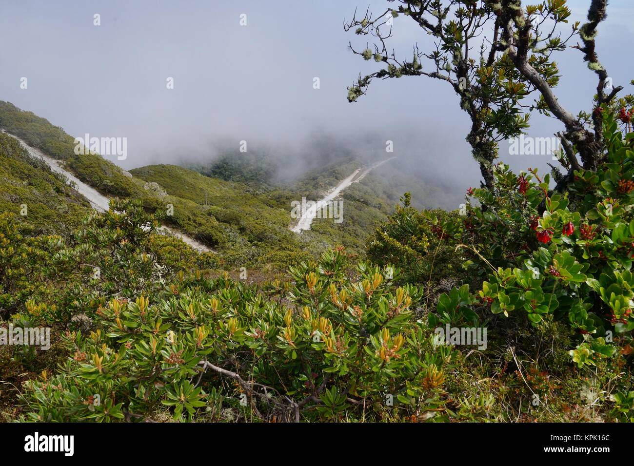 Barú volcano panama hi-res stock photography and images - Alamy