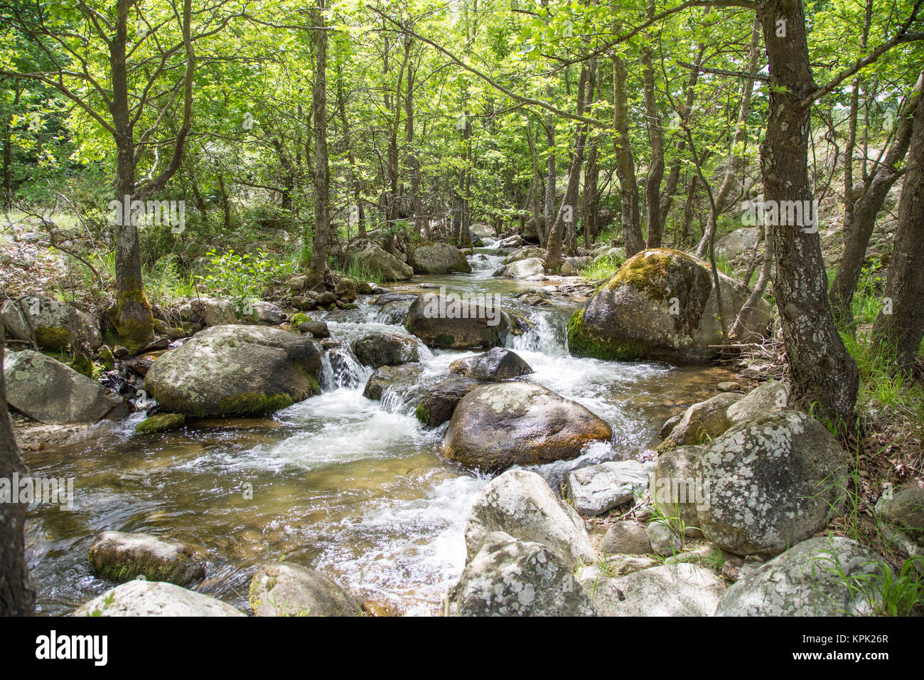 Nature landscape with trees and river Stock Photo - Alamy