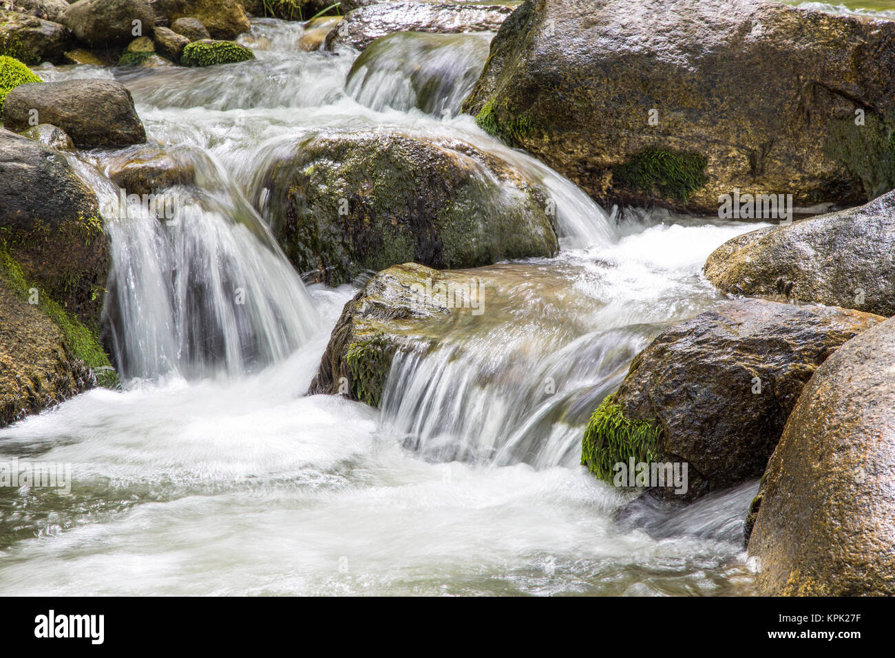 Nature landscape with trees and river Stock Photo - Alamy