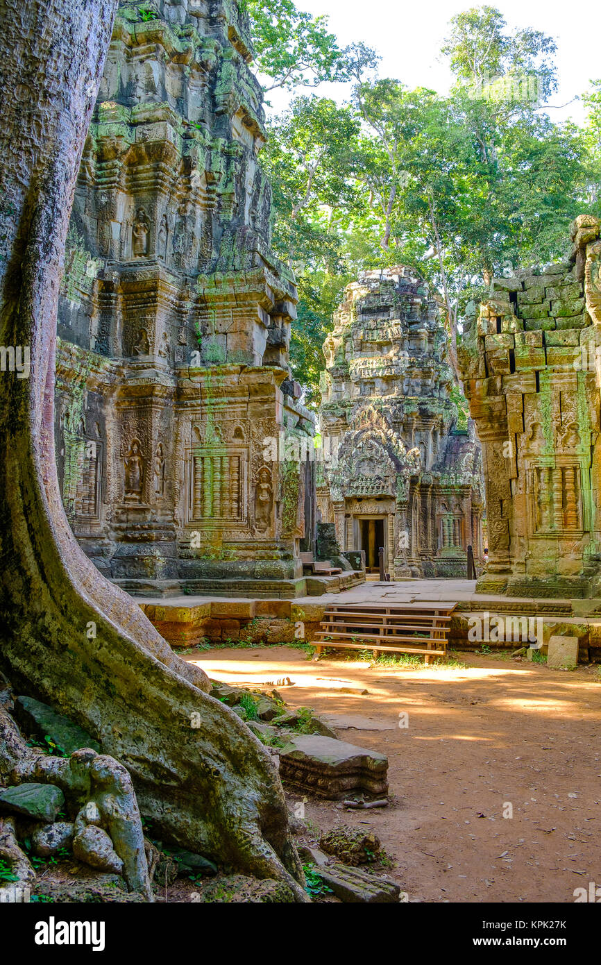 The beautiful ruins of the temples at Ta Prohm Stock Photo - Alamy