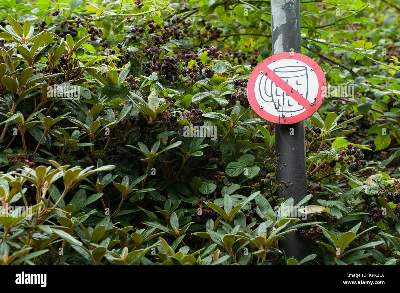 Do Not Drink Beer Sign on a metal post in a park with background of ...