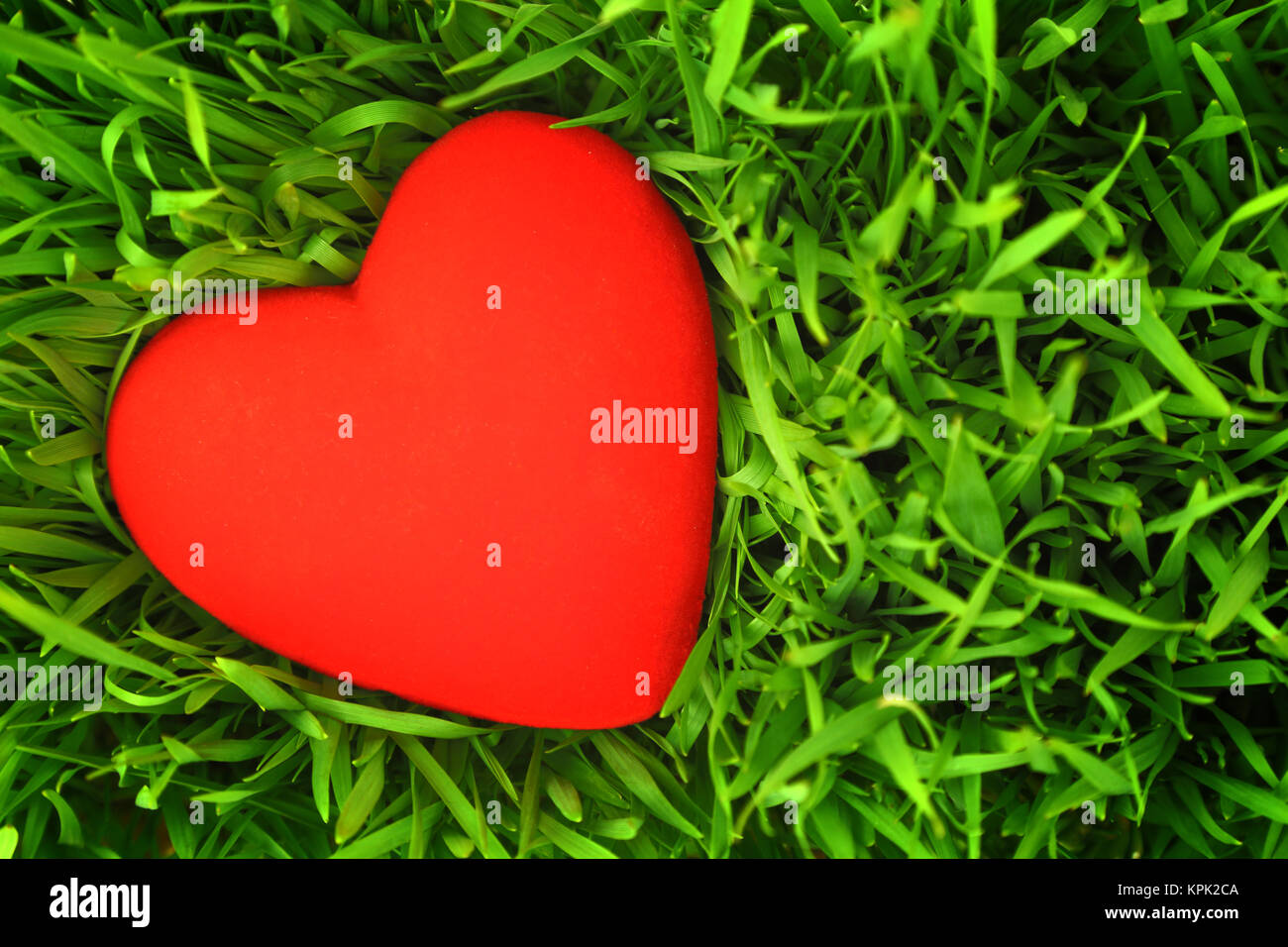Red heart on green grass background Stock Photo - Alamy