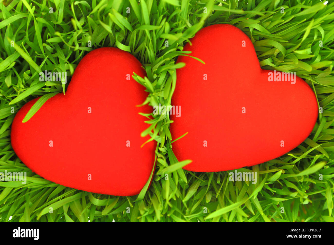 Two red hearts on green grass background Stock Photo - Alamy