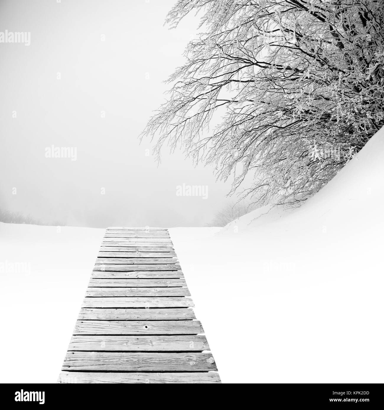 Cool wooden wood Black and White Stock Photos & Images - Alamy