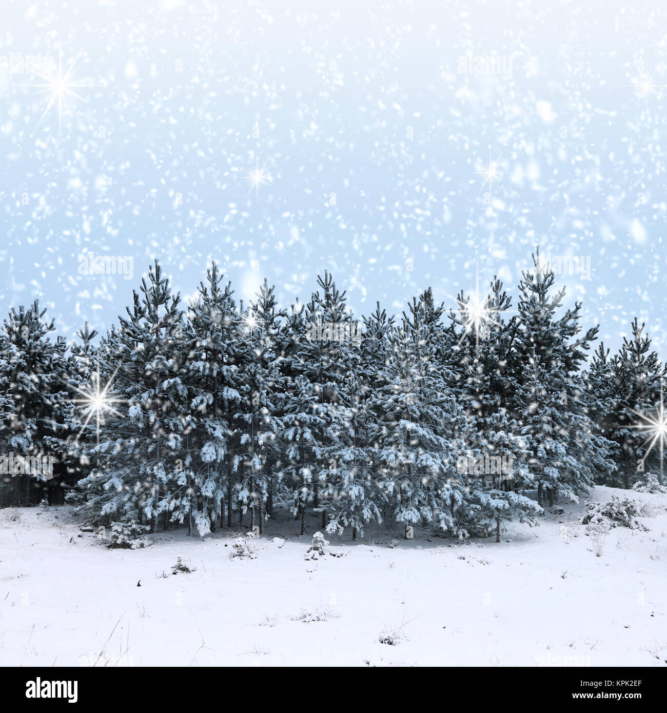 Beautiful winter landscape with snow covered trees Stock Photo - Alamy