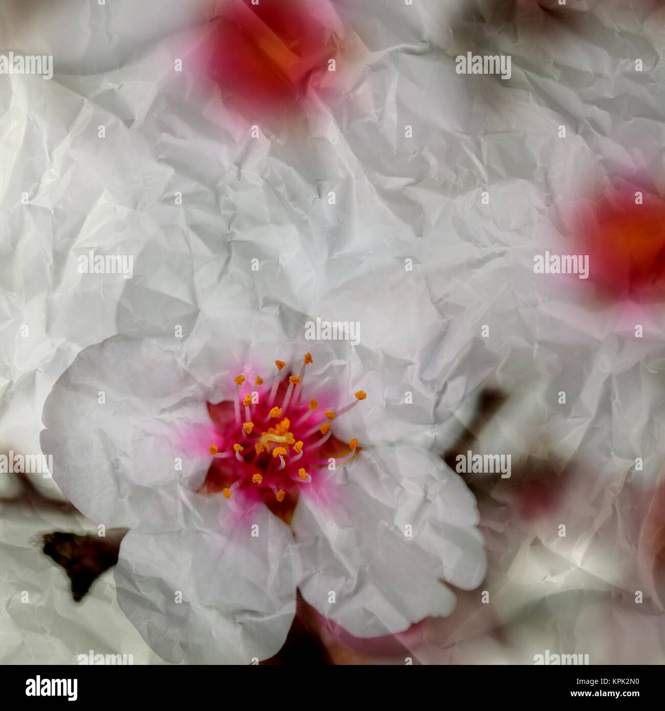 Vintage crumpled paper texture, grunge flower background Stock Photo ...