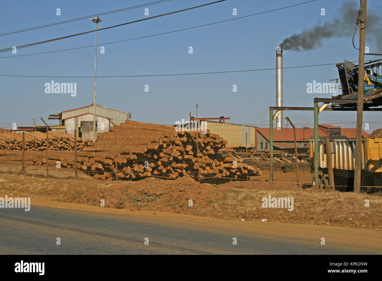 Timber at timber factory, Kingdom of Swaziland Stock Photo - Alamy