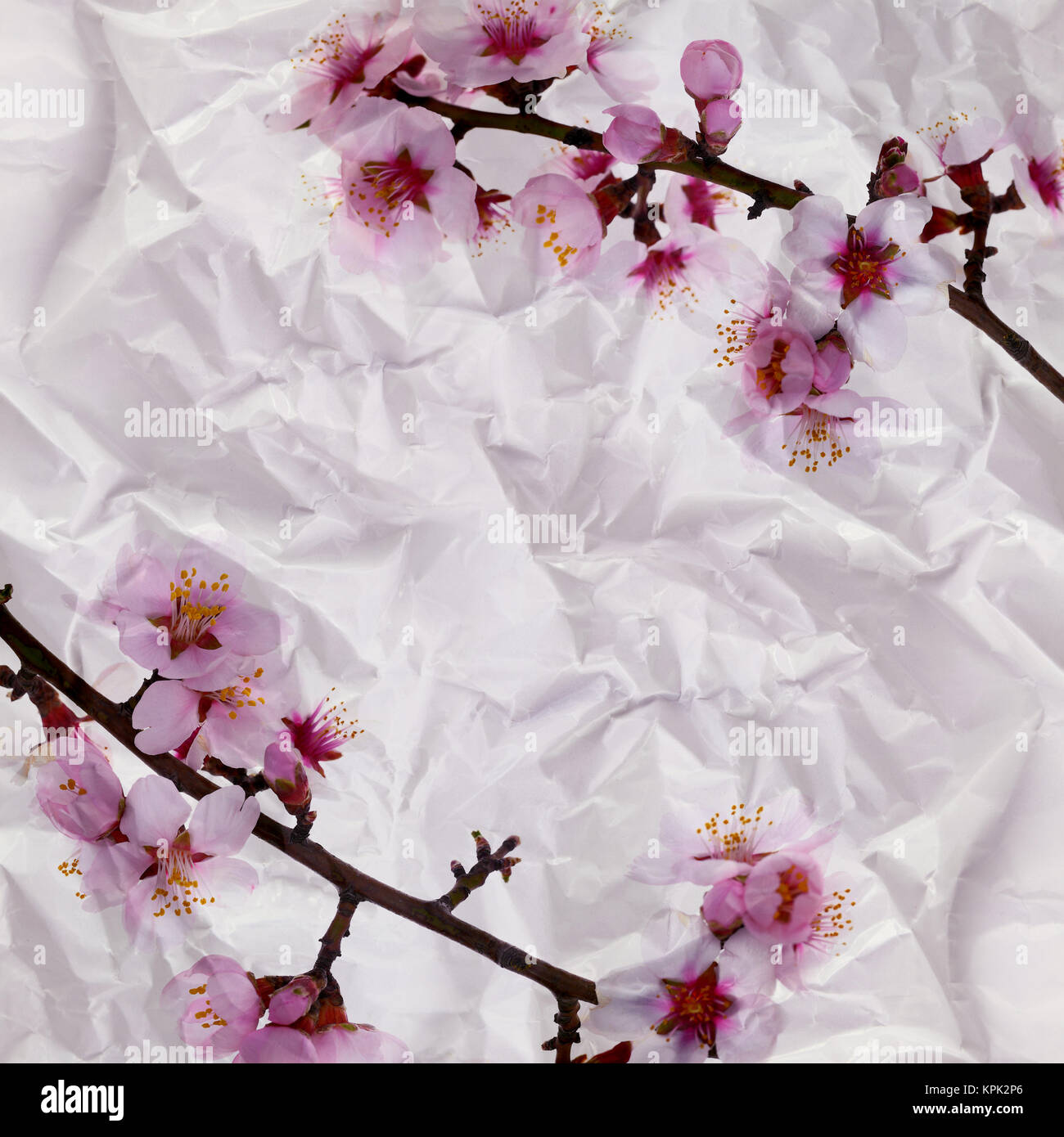 Vintage crumpled paper texture, grunge flower background Stock Photo ...