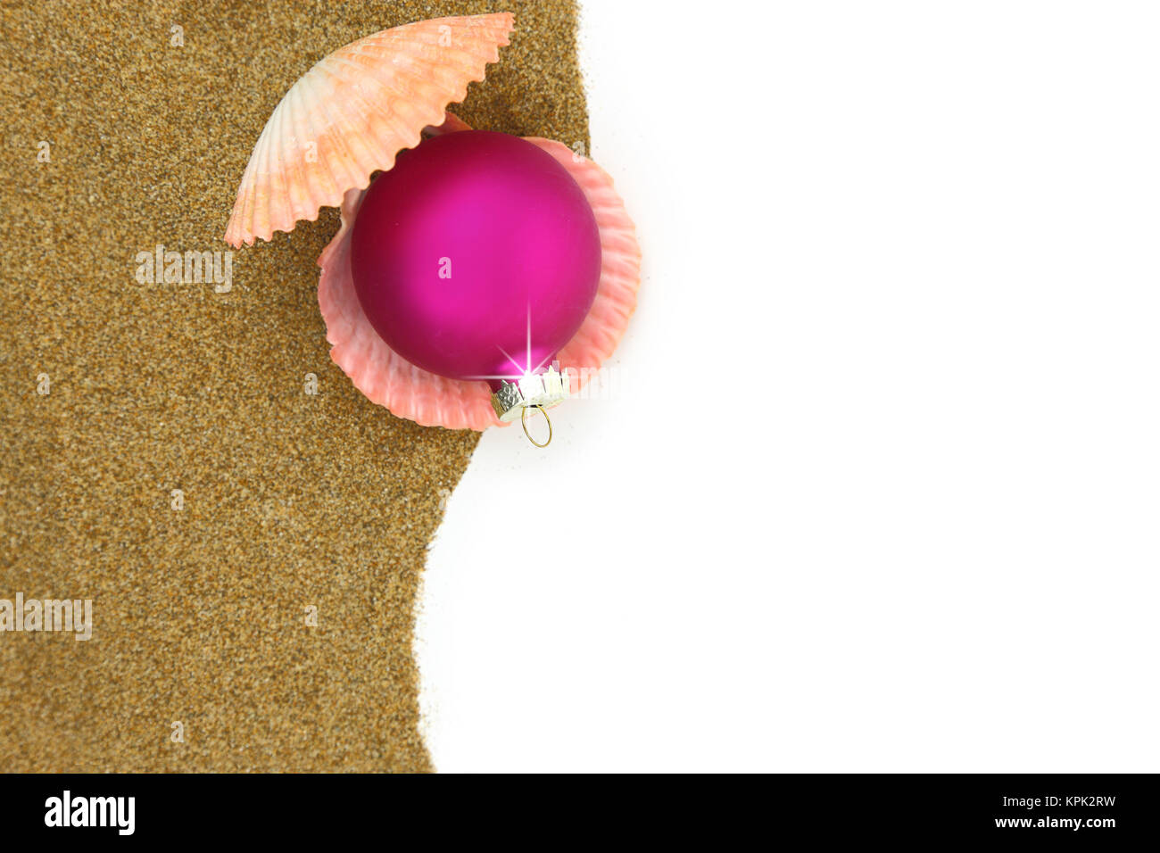 New zealand sea shell on hi-res stock photography and images - Alamy