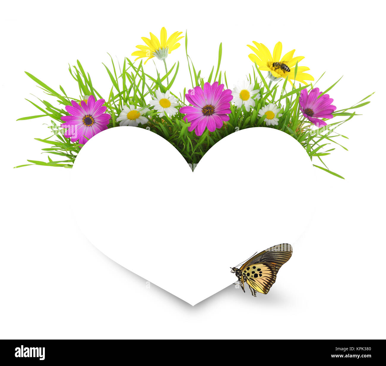 Pink paper daisy Cut Out Stock Images & Pictures - Alamy