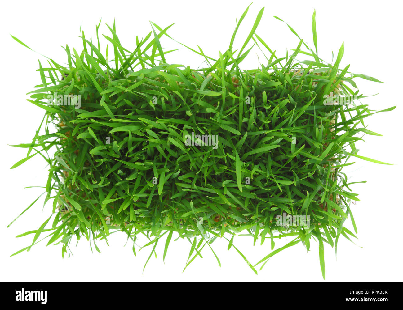 Grass Cut Out Stock Images & Pictures - Alamy