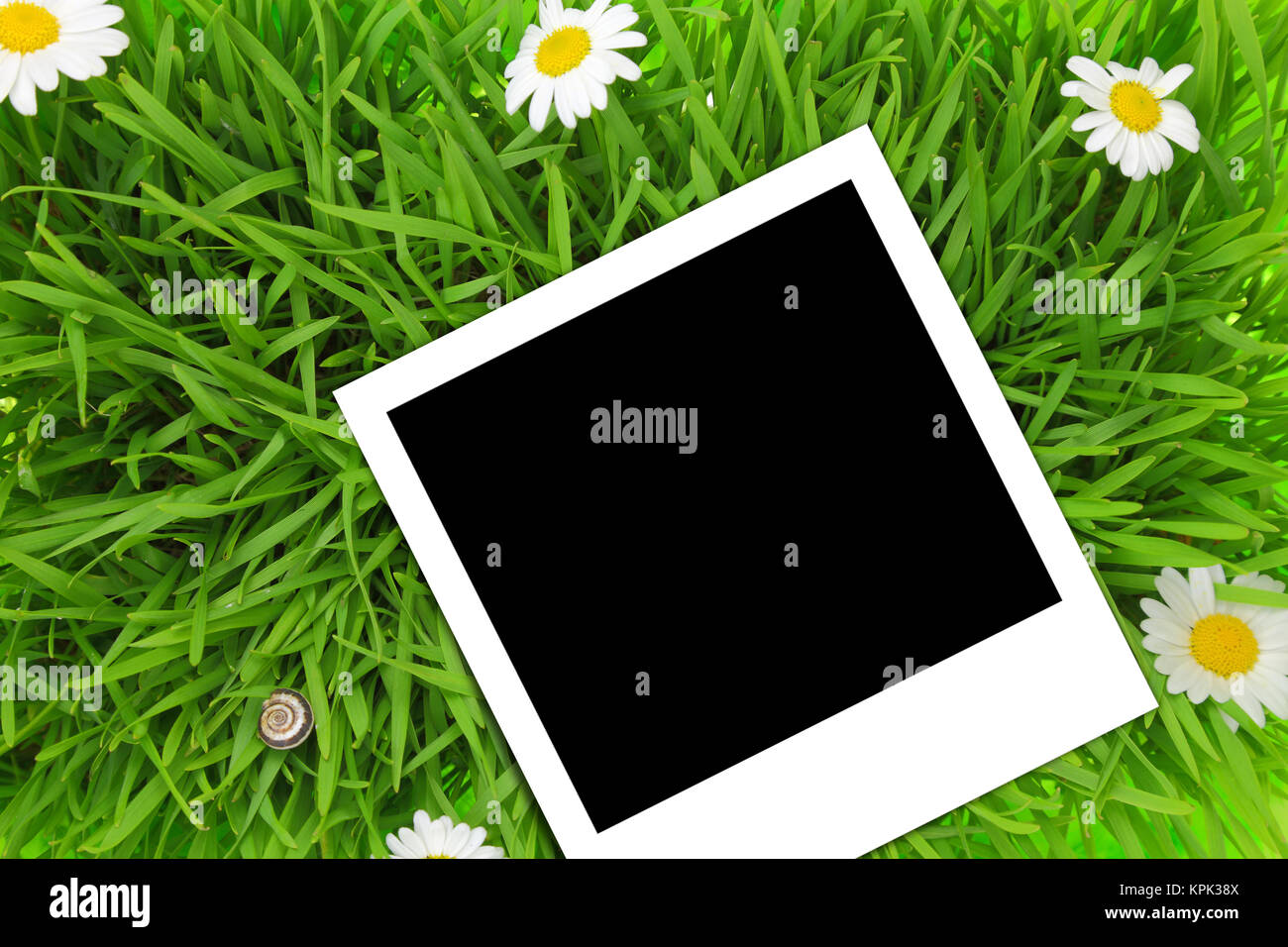 Blank photograph template on green grass with flowers Stock Photo - Alamy