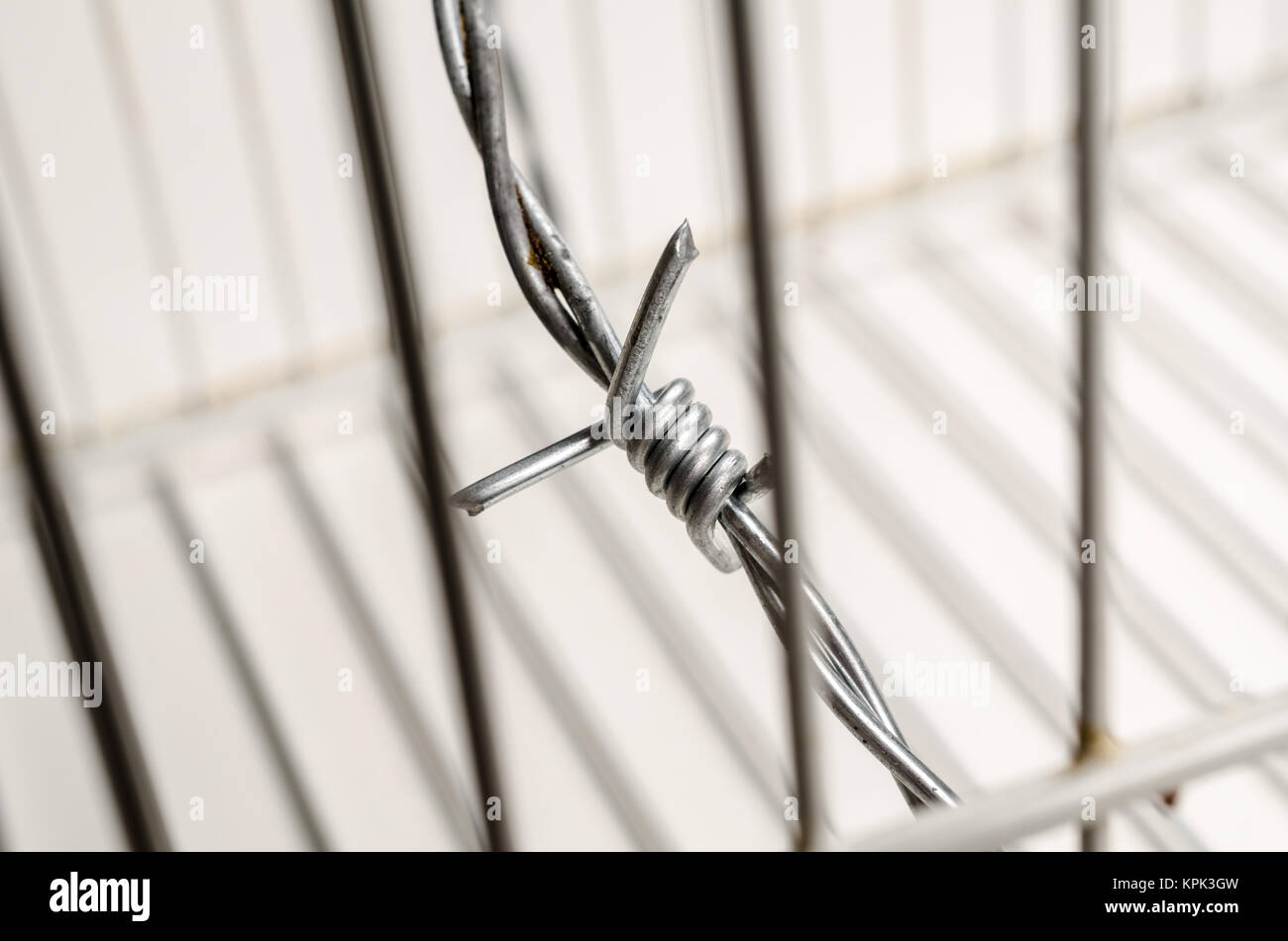 Barbed wire in a prison cell, a freedom of expression concept Stock ...