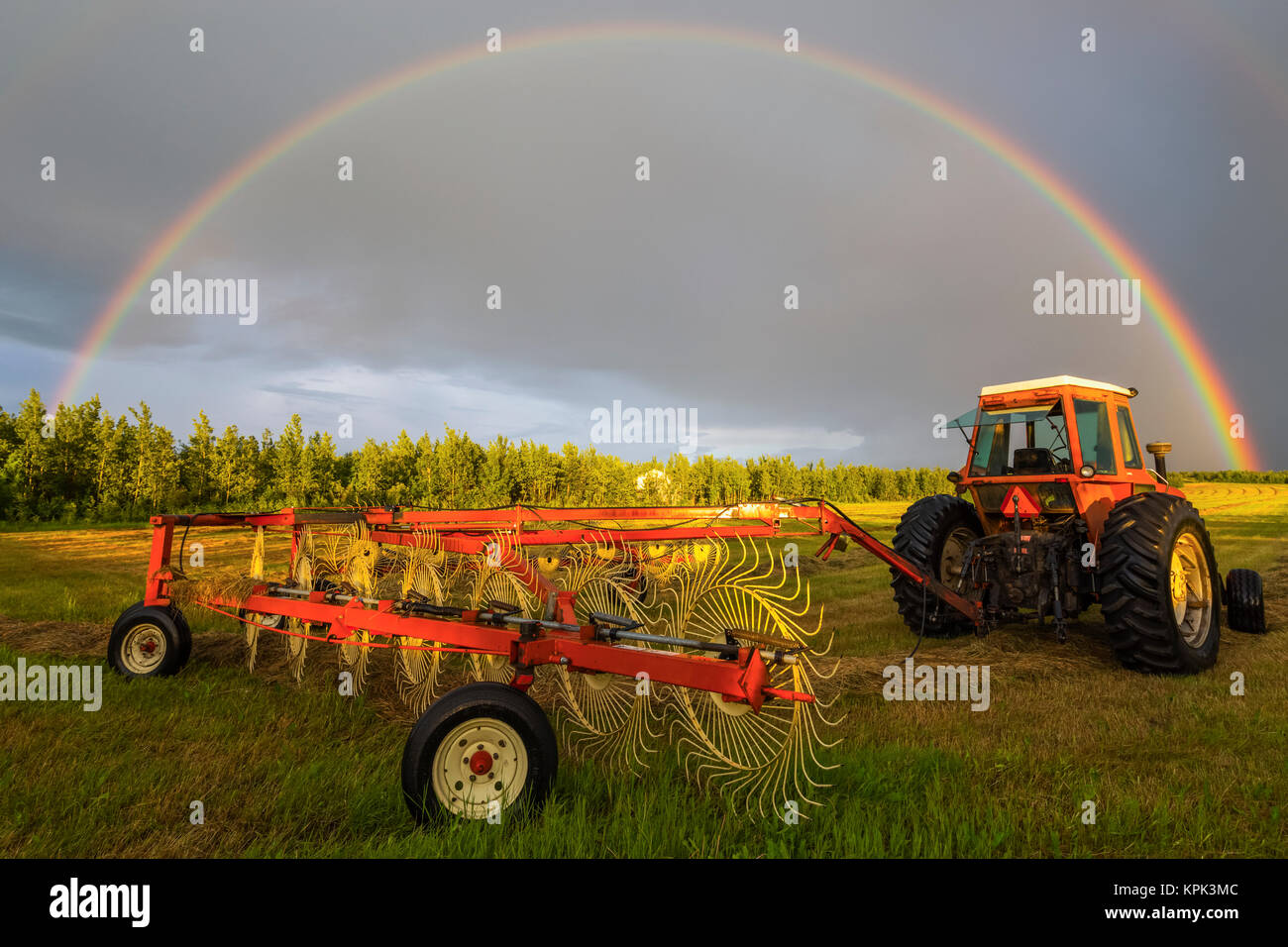 A rainbow appears in the sky over a tractor which has just raked a ...