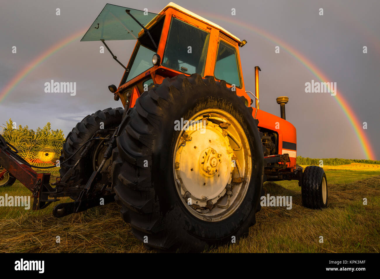 A rainbow appears in the sky over a tractor which has just raked a ...