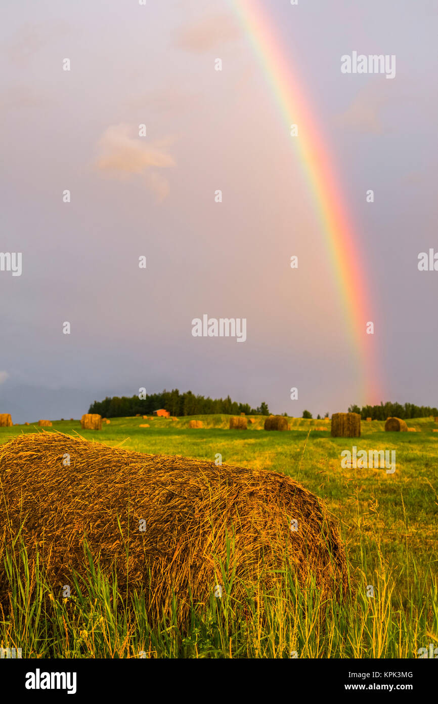 A rainbow appears over a field of freshly rolled bales of hay; Delta ...