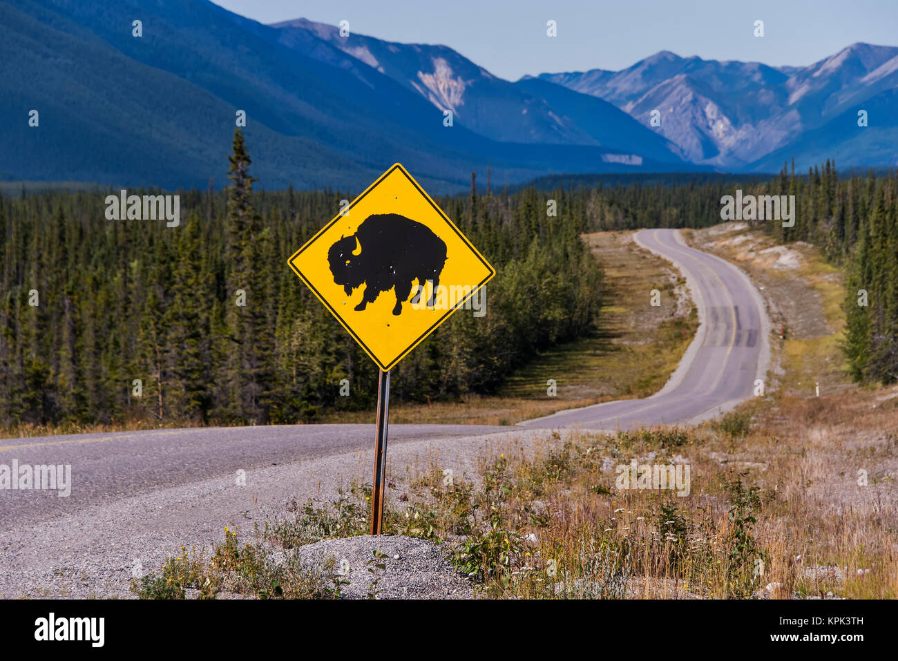 Bison sign posted on the side of the Alaska Highway; British Columbia ...