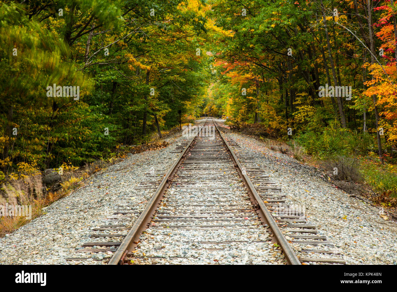 Railroad tracks along the Saco River lined with trees in autumn ...