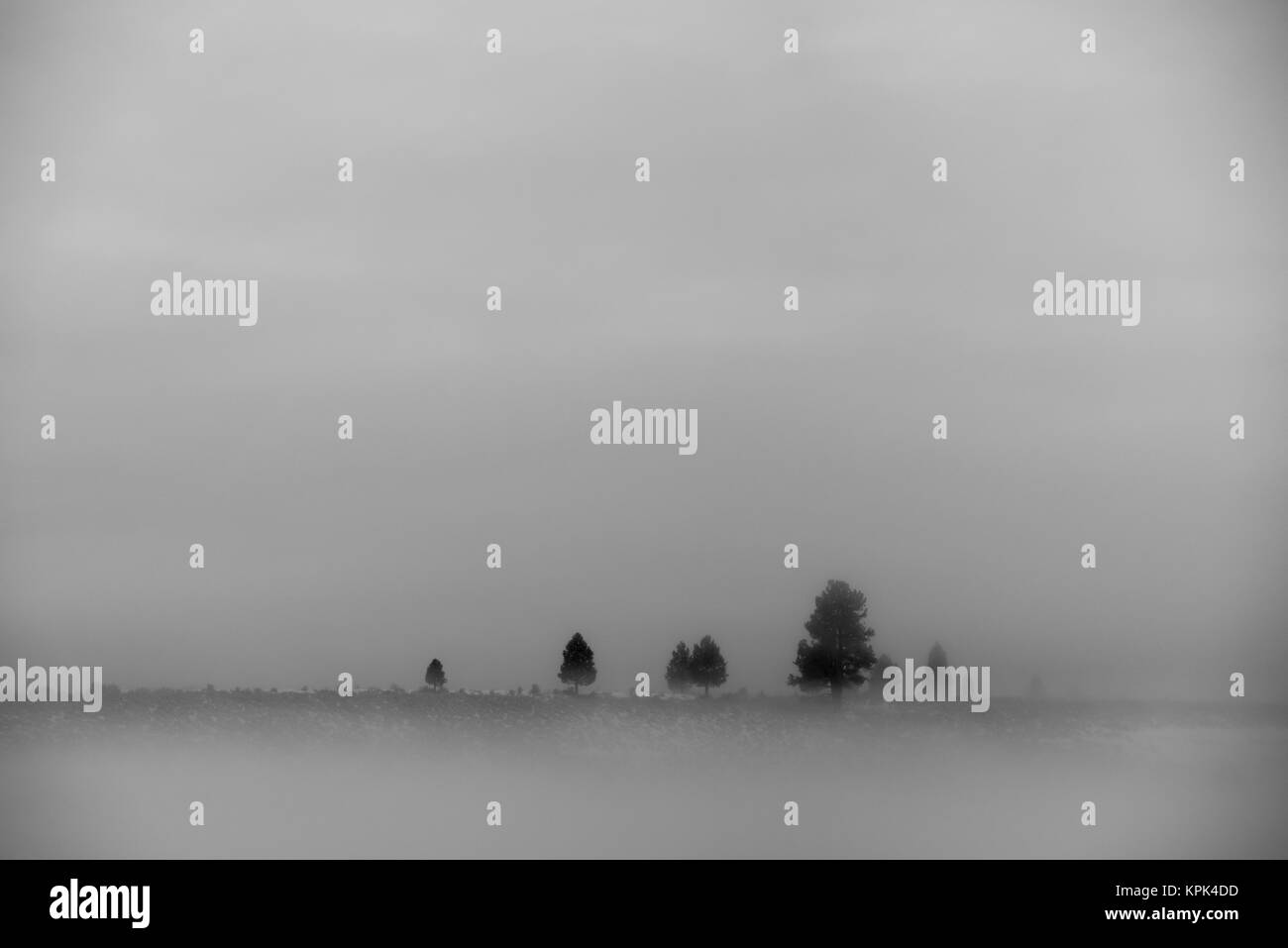 Scattered cloud sky Black and White Stock Photos & Images - Alamy