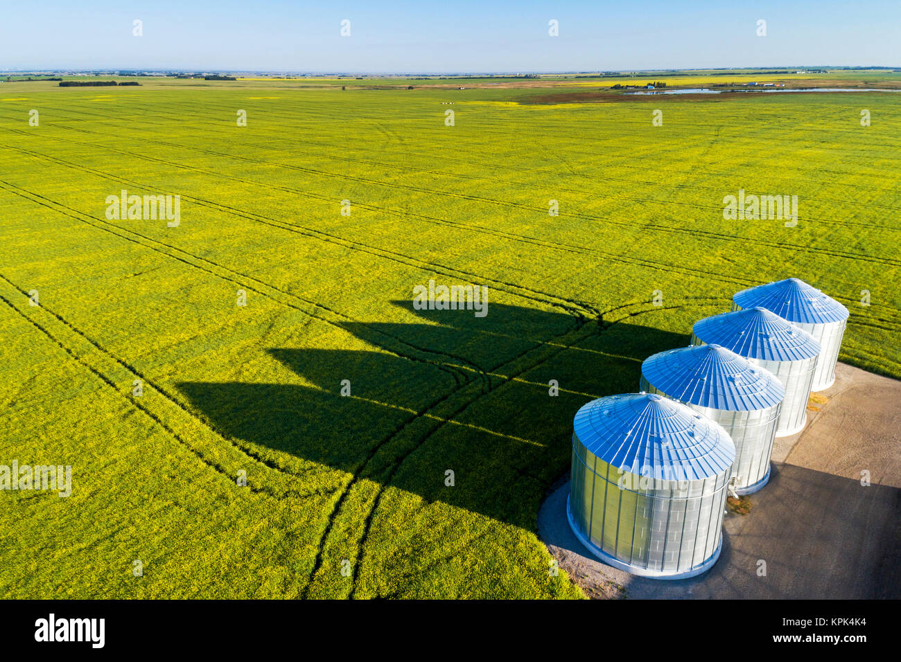 Aerial view of large metal grain bins in a green field of canola with ...