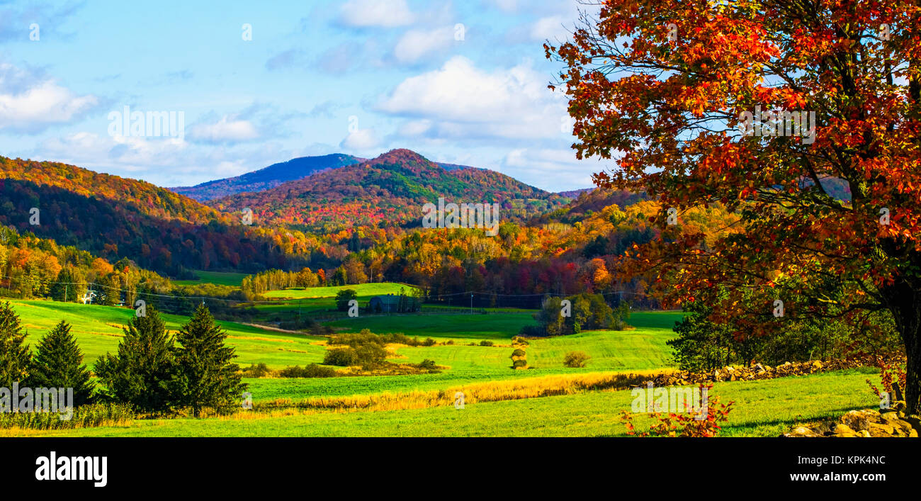 Landscape of forests on the hills with autumn coloured foliage and lush ...