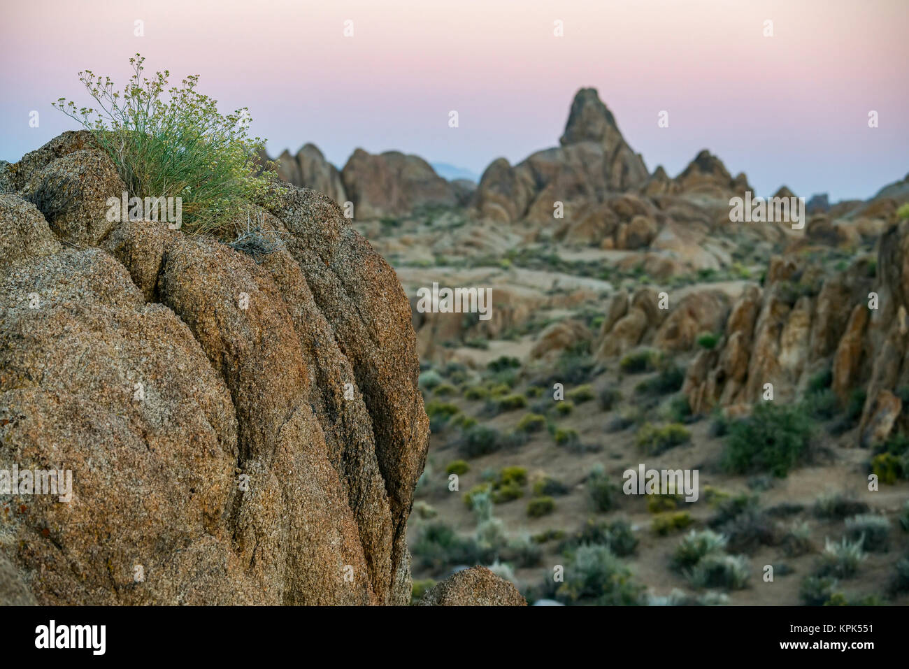 Alpenglow in the skies over the Alabama Hills, California; California ...